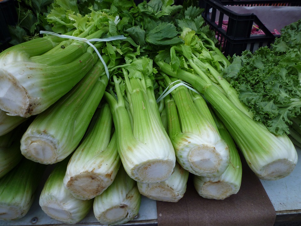 Celery Recipes & Info