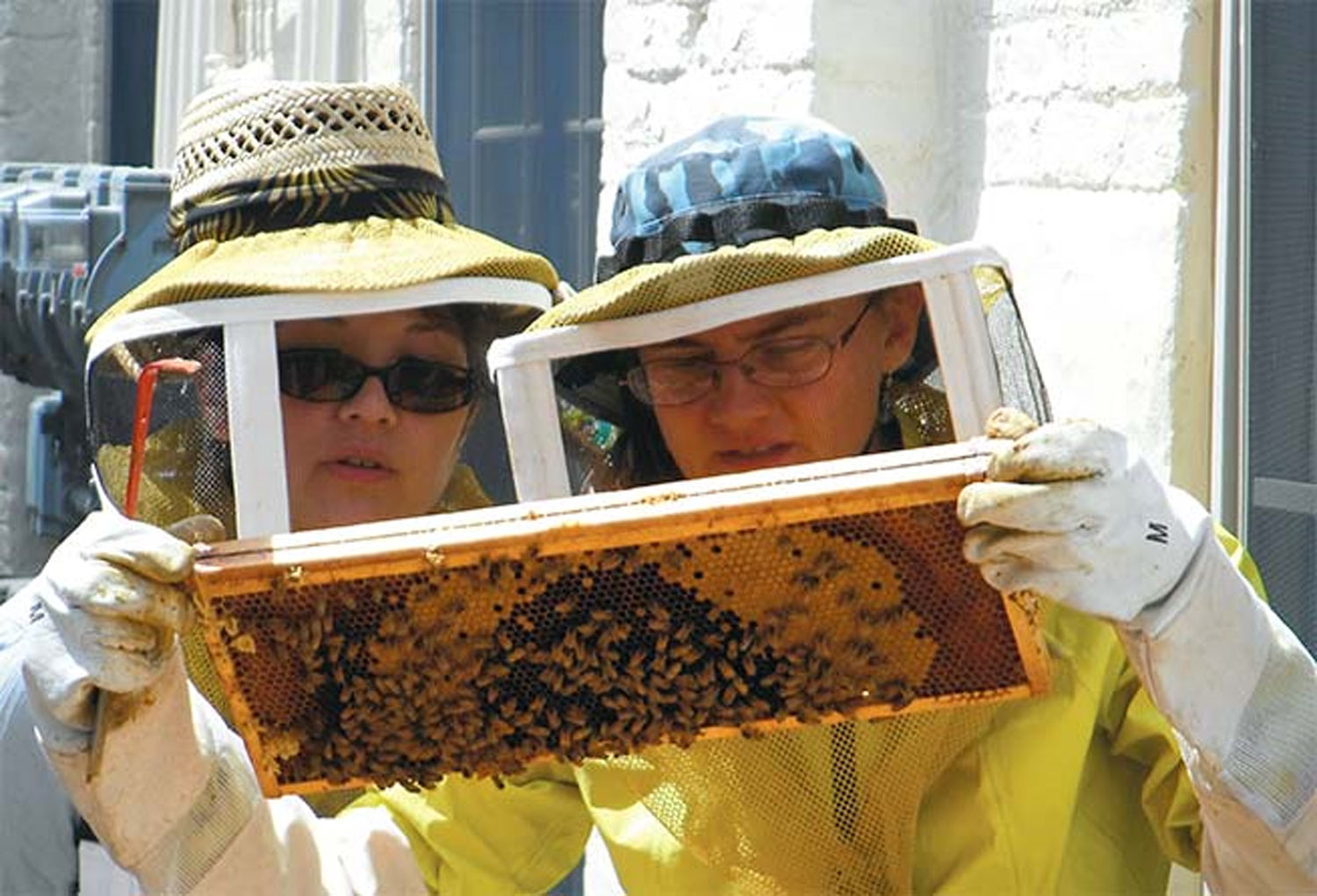 Why You Should Support your Local Beekeeper