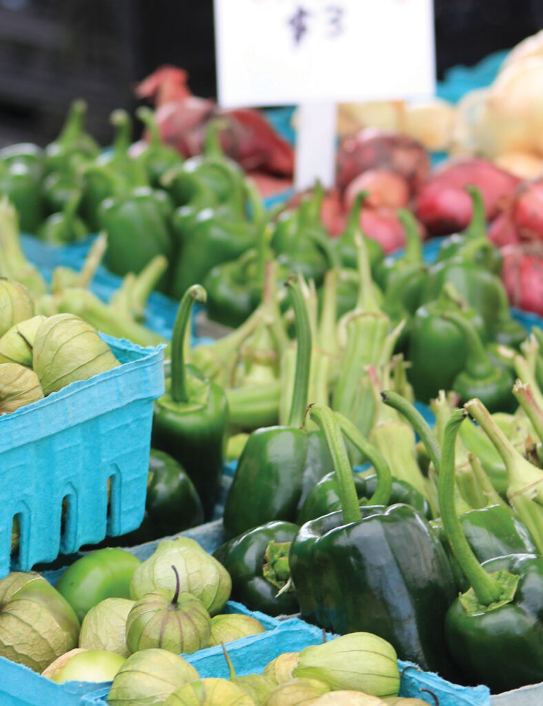 Wayne State Farmers Market Skips a Year
