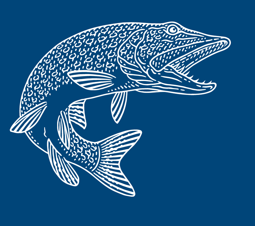 Angling for Fish in the Big City and Beyond